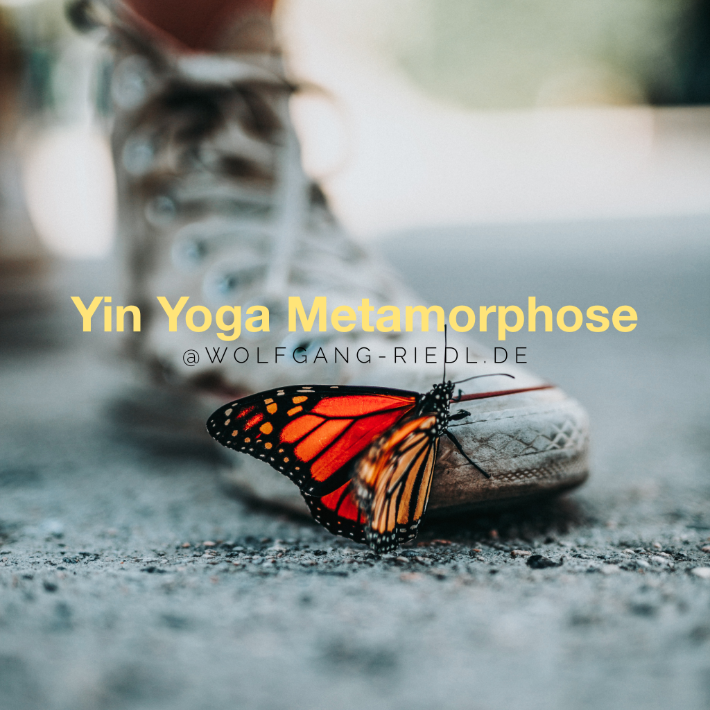 Yin Yoga Sequenz - Metamorphose — Wolfgang Riedl