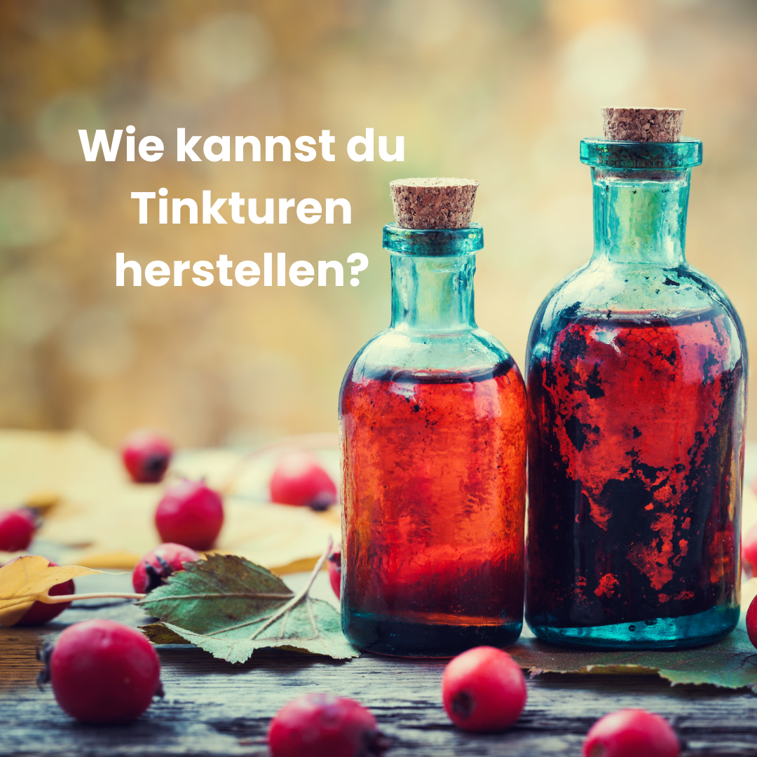 Wie kannst du Tinkturen herstellen? — Wolfgang Riedl